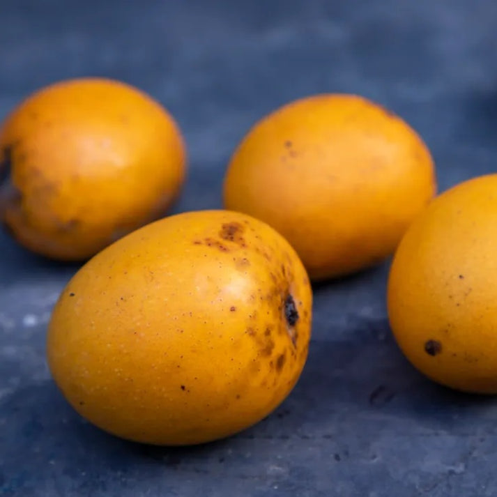 Fresh Mallika Mangoes from our farms in Florida & Mexico – Fresh mangoes